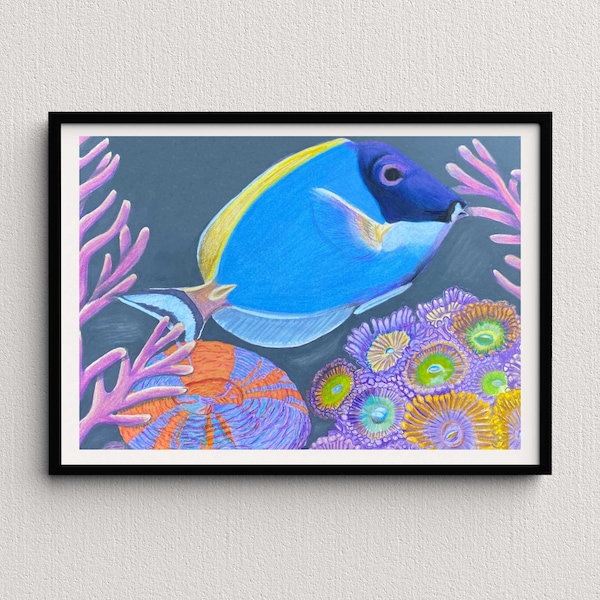 Powder Blue Tang - Etsy