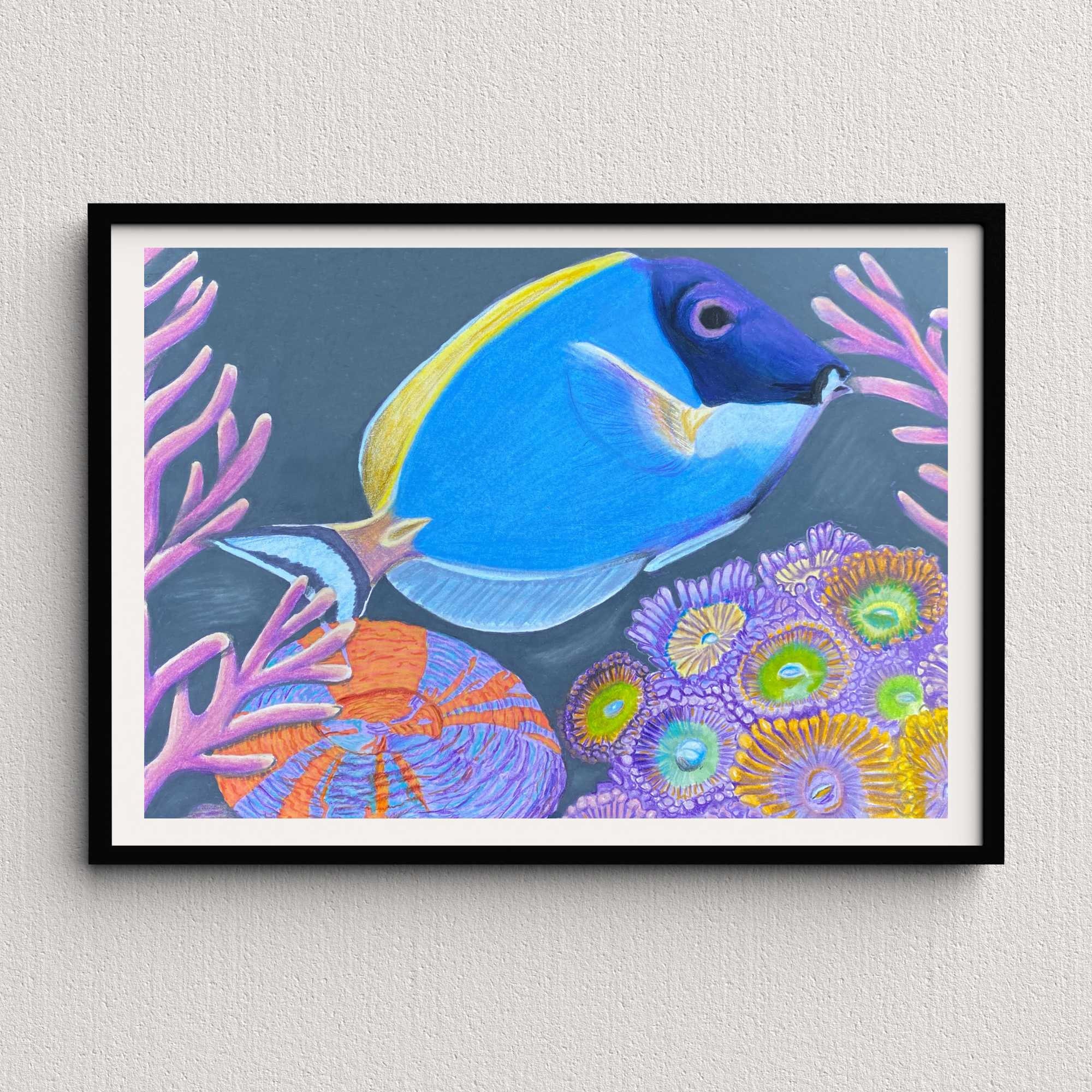 Reef Tank Wall Art Powder Blue Tang Art, Saltwater Fish Drawing, Sea ...