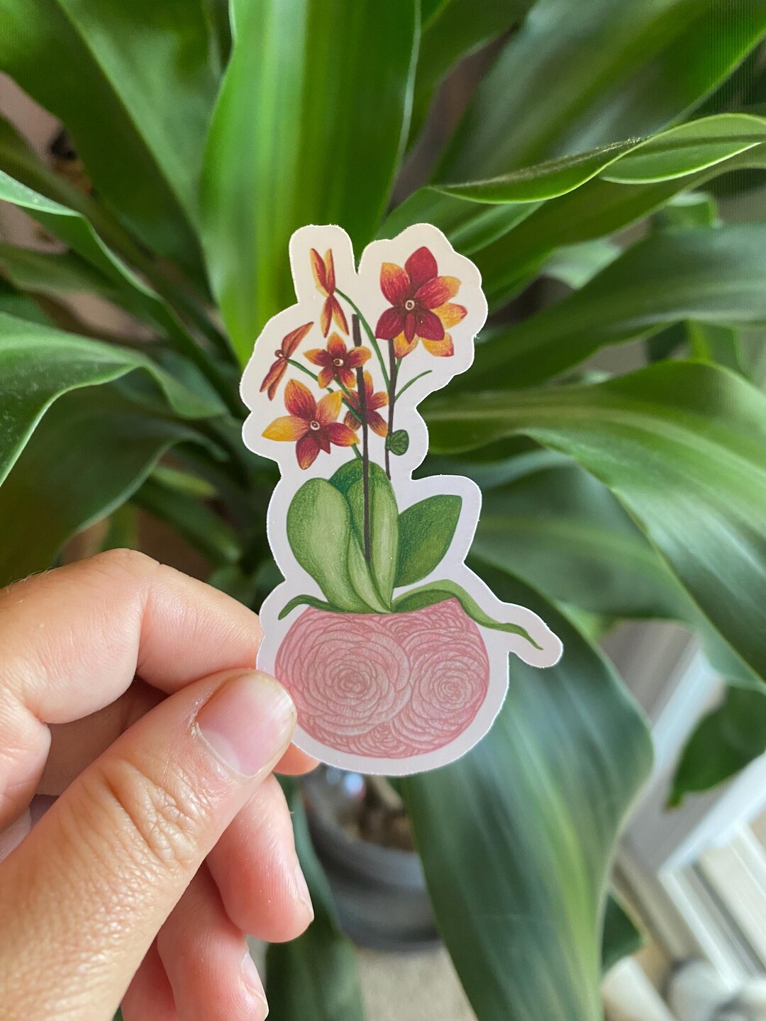 Orchid Sticker - Plant Sticker, Plant Mom Sticker, Laptop Sticker ...