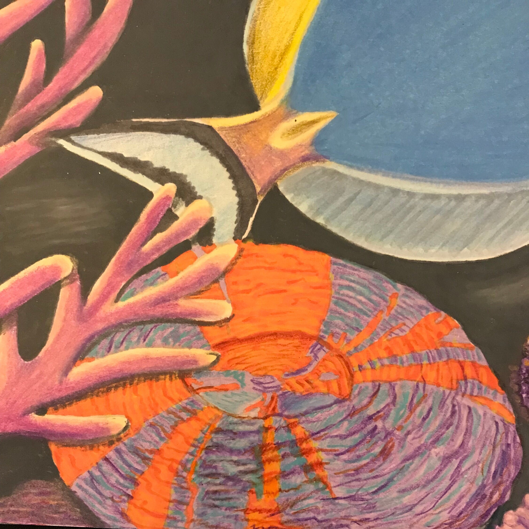 Reef Tank Wall Art Powder Blue Tang Art, Saltwater Fish Drawing, Sea ...