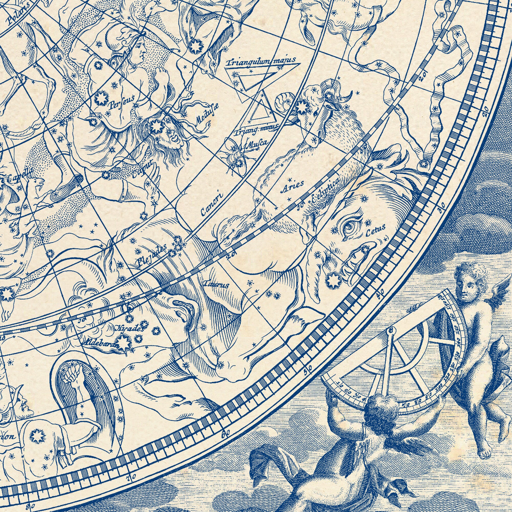 Vintage Constellations Illustration With Great Detail on a Grunge ...