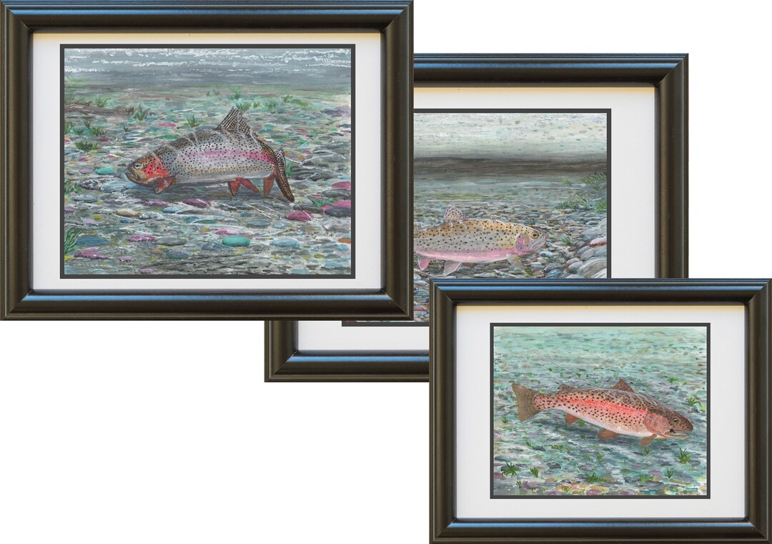 Cadeau de pêche unique, 3 trout Bundle, Lone Rainbow, Yellowstone ...