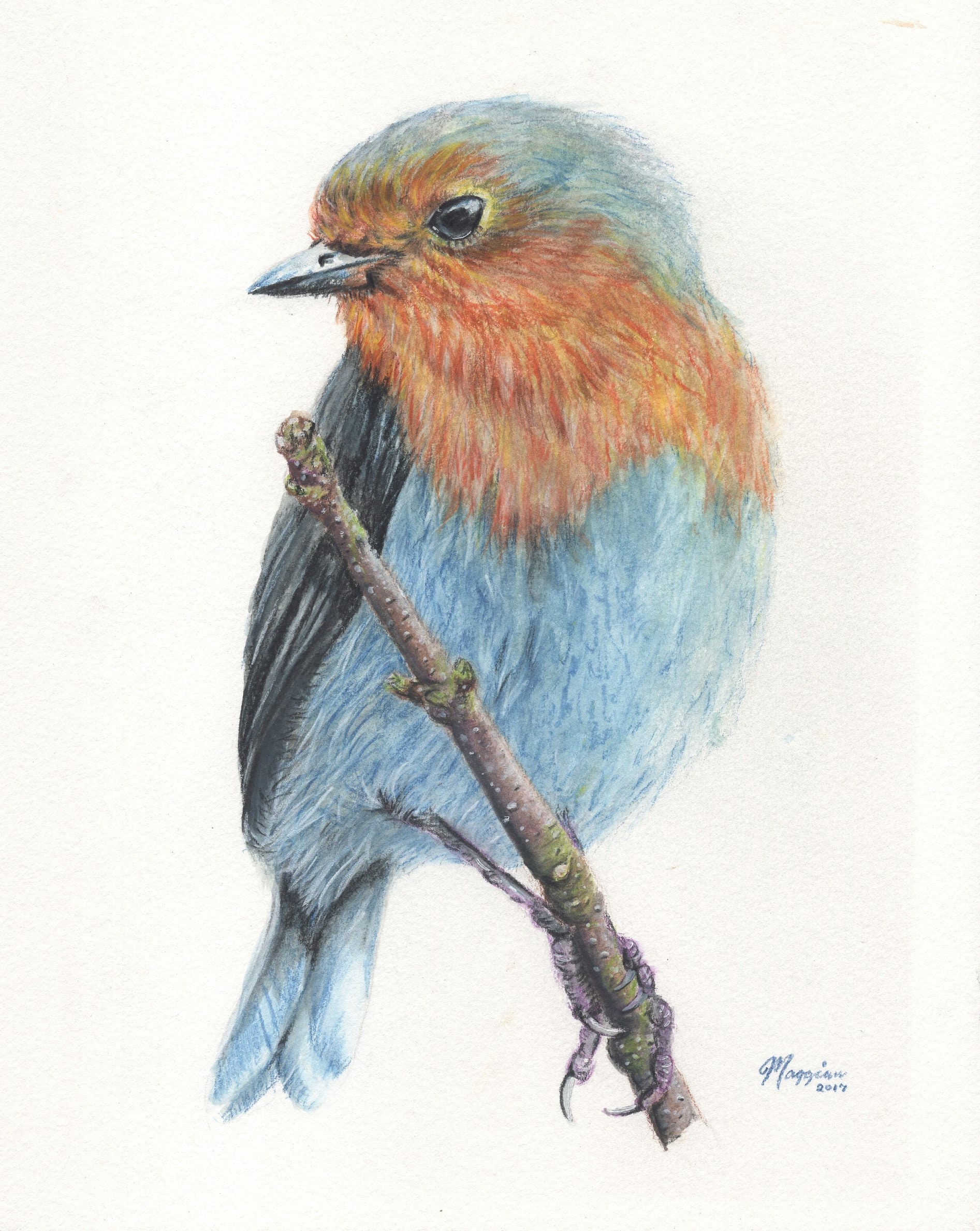 Robin Watercolor, Spring Bird Painting, Original Painting, Wildlife ...