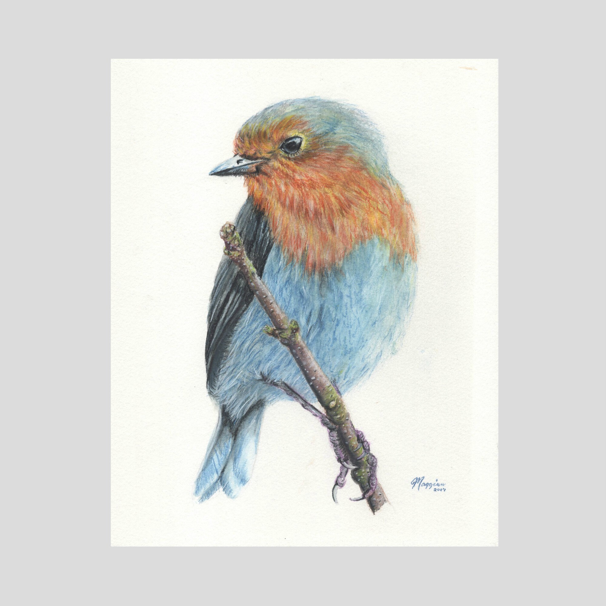 Robin Watercolor, Spring Bird Painting, Original Painting, Wildlife ...