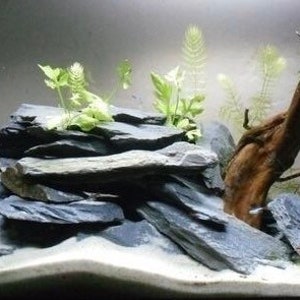 Gray Natural Slate Aquarium Decor Fish Reptile Tank TWO Pieces - Etsy