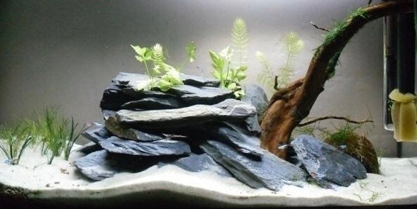 Gray Natural Slate Aquarium Decor Fish Reptile Tank TWO Pieces - Etsy