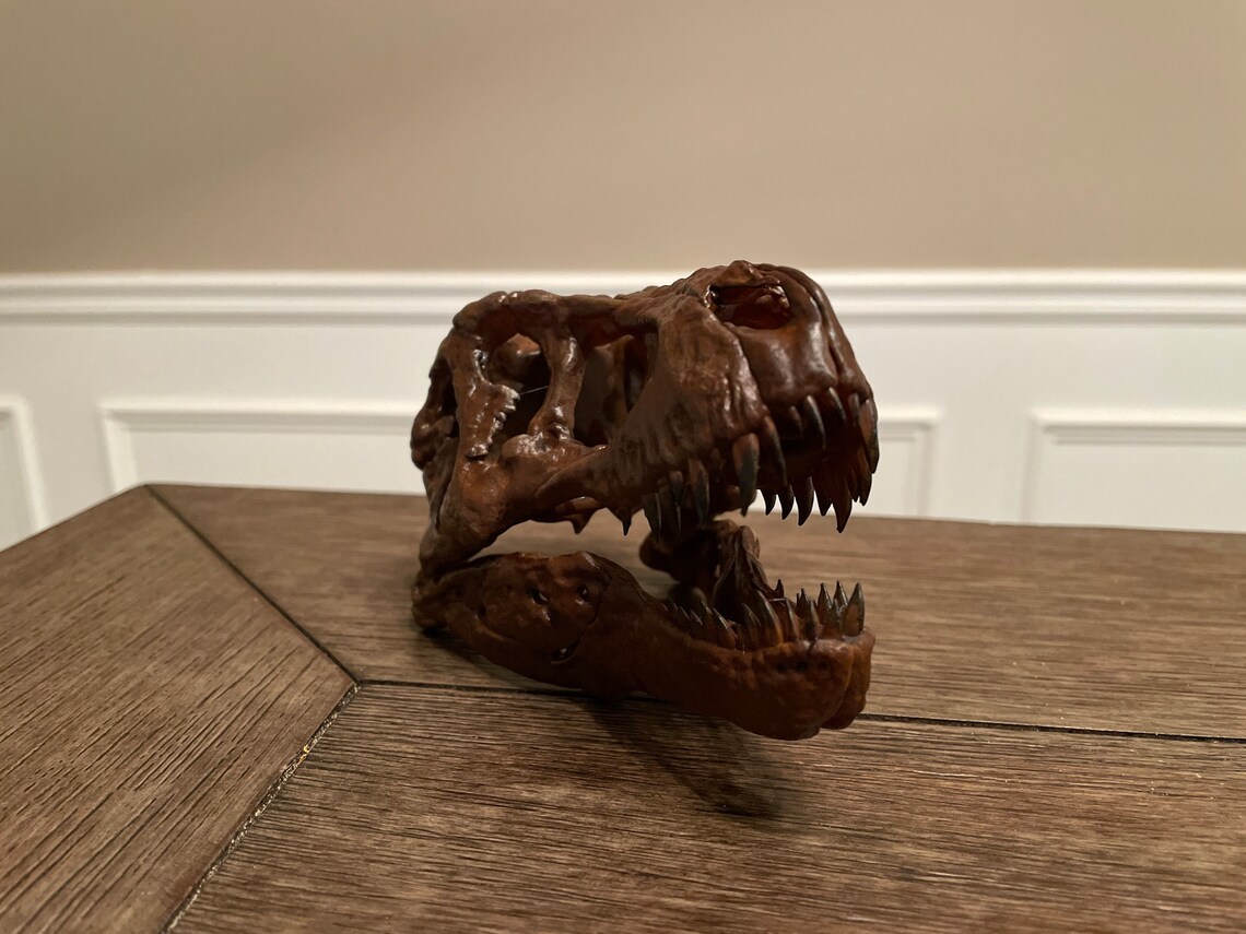 1:10 Scale Hand-painted Resin T-rex Skull Replica - Etsy