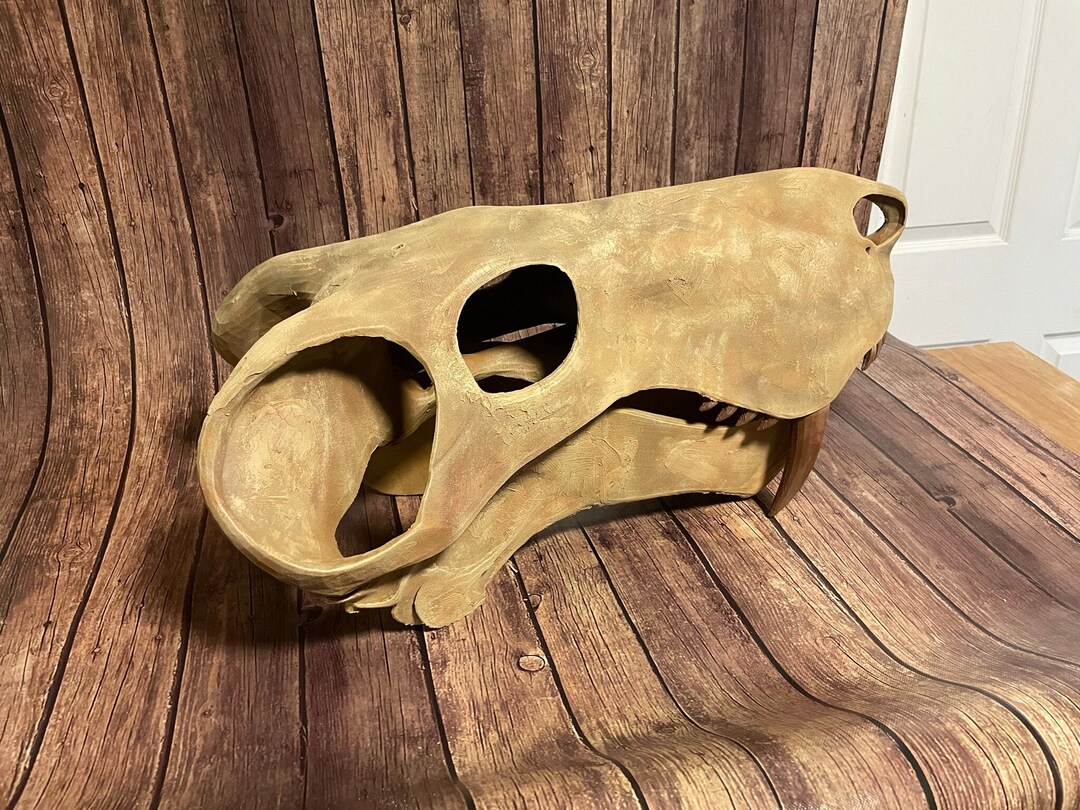 1:1 Gorgonopsid Skull 3D Printed Replica, Hand Painted Prehistoric ...