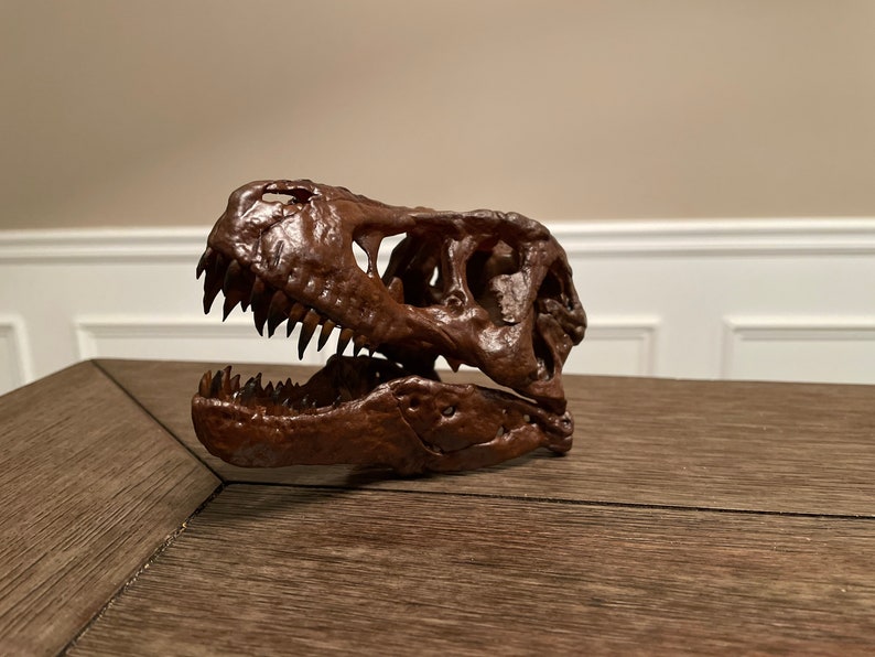 1:10 Scale Hand-painted Resin T-rex Skull Replica - Etsy