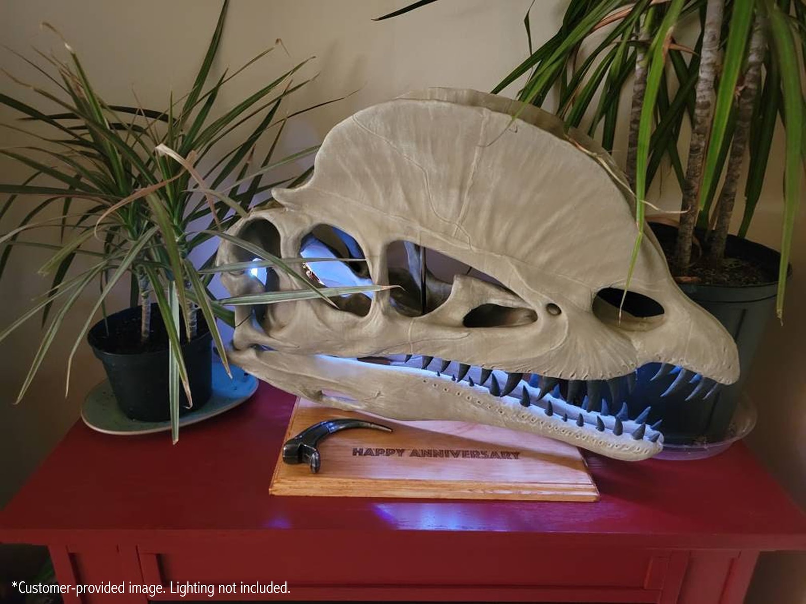 Dilophosaurus Skull 1:1 Scale Model Hand-painted Keepsake and - Etsy