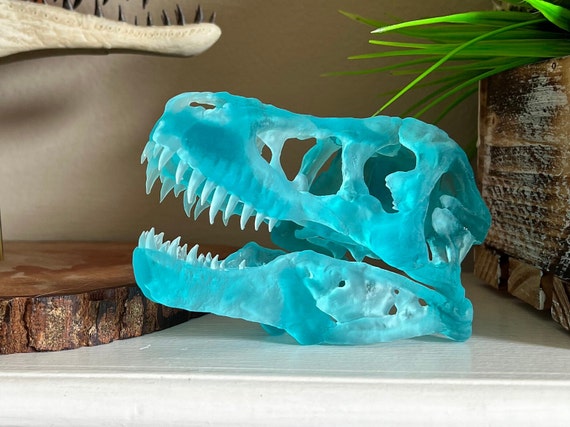 1:10 Scale Resin Tyrannosaurus Rex t-rex Dinosaur Skull | Etsy
