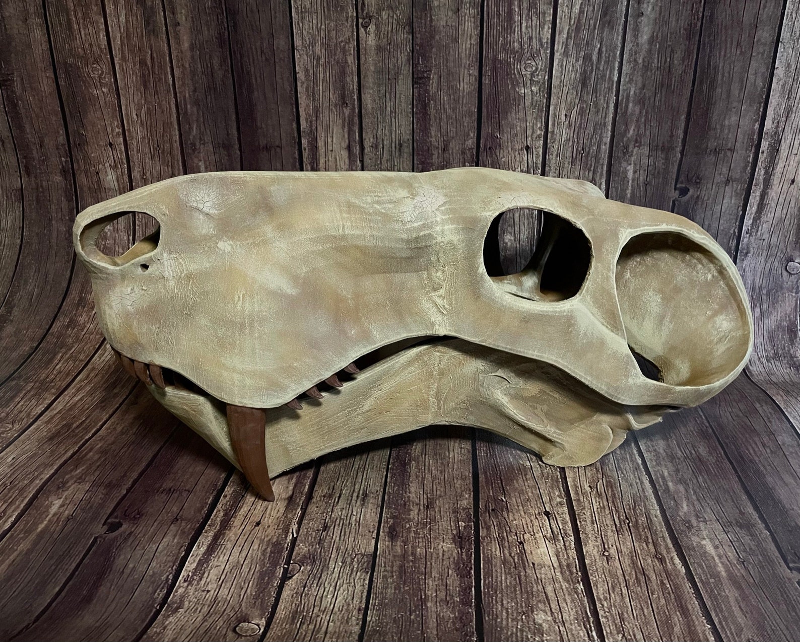 1:1 Gorgonopsid Skull 3D Printed Replica, Hand Painted Prehistoric ...