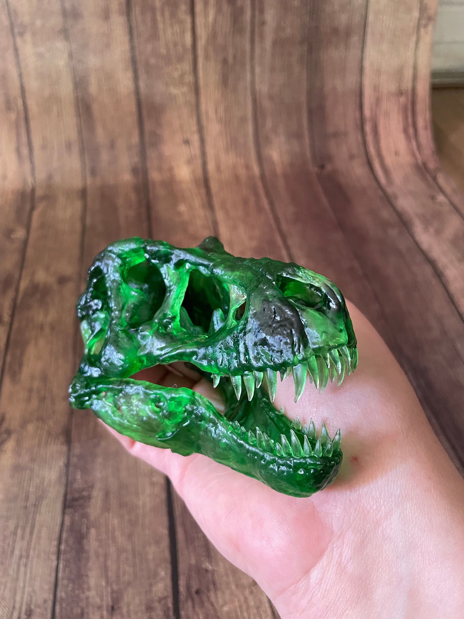 1:10 Scale Resin Tyrannosaurus Rex t-rex Dinosaur Skull | Etsy