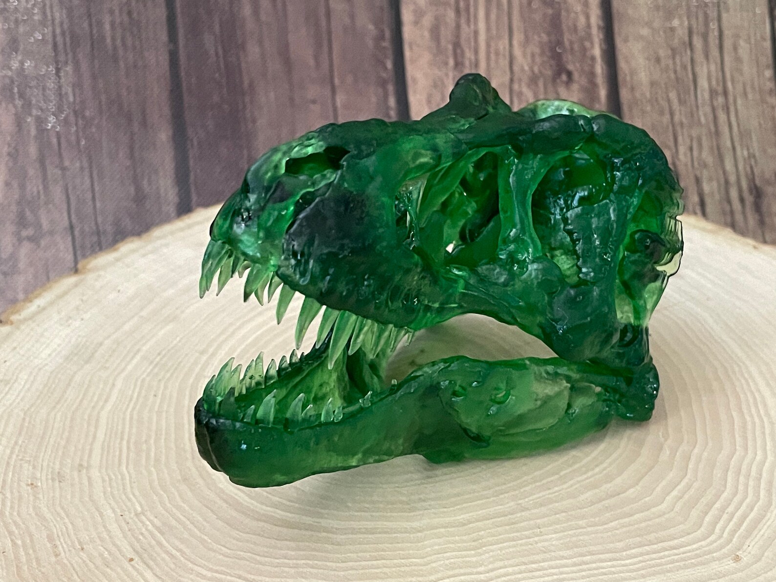 1:10 Scale Resin Tyrannosaurus Rex t-rex Dinosaur Skull | Etsy