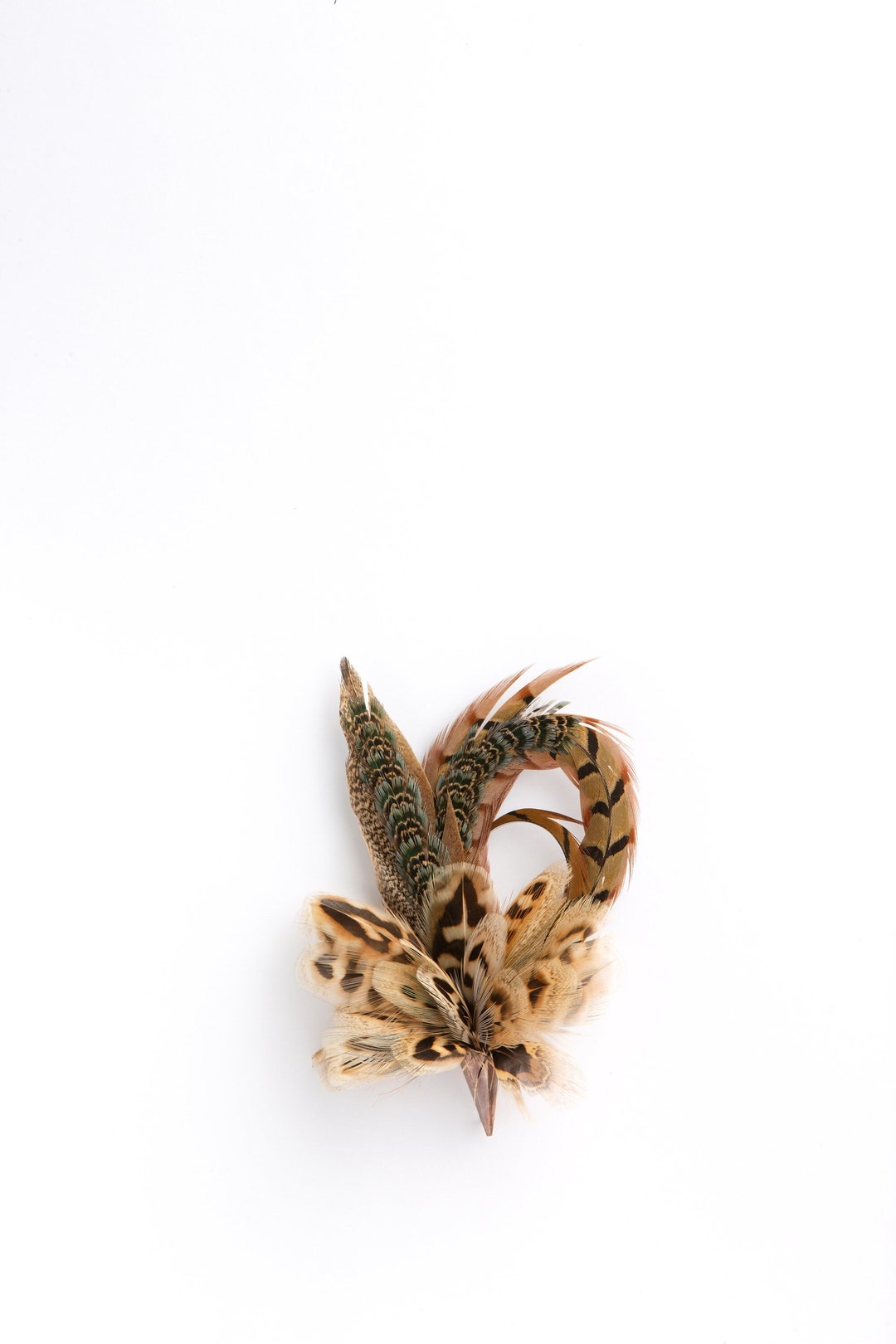 Blue, Hen Pheasant, Biot, Feather Hat Pin, Lapel Pin, Brooch Pin ...