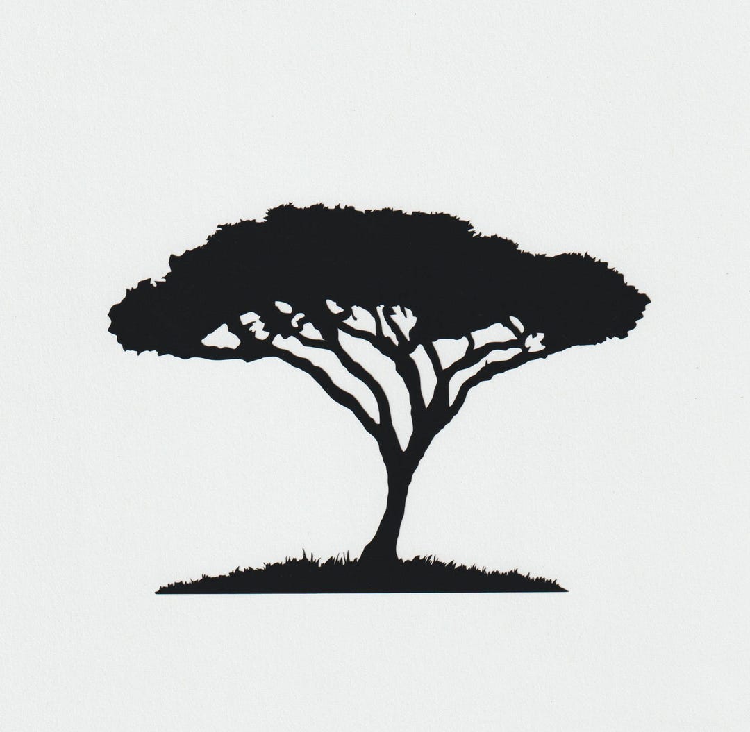 Acacia Tree Vinyl Decal (permanent Adhesive, Die Cut) - Etsy