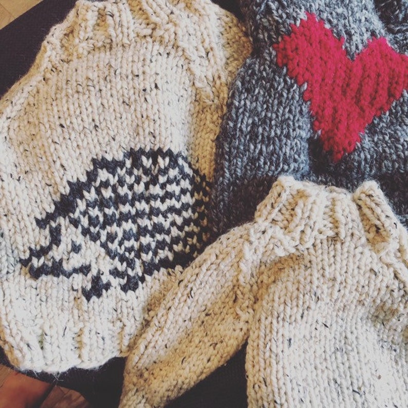 Raccoon Sweater Chunky Handknit Baby to 6X - Etsy