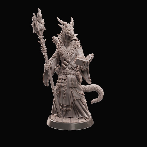 Dnd Dragonborn Miniature - Etsy