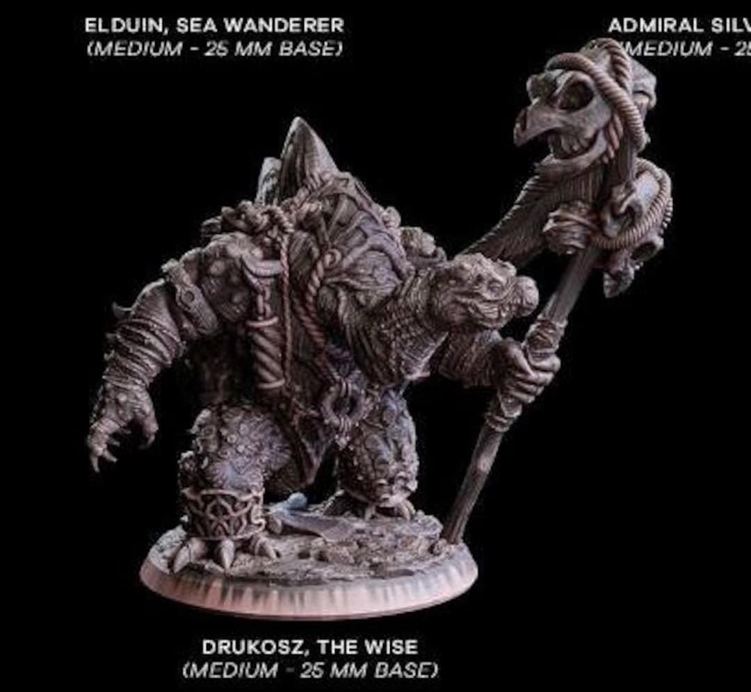 TORTLE / DND/ RESIN / Wizard/ Warlock/ Sorcerer / 3d Printed - Etsy