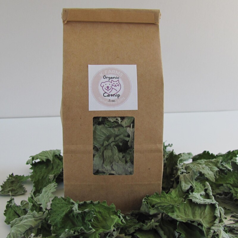 Catnip Seeds - Etsy