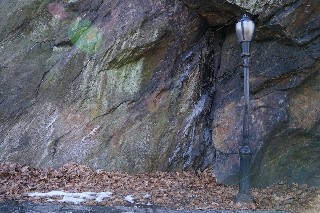 Light the Path Photography Print - Etsy