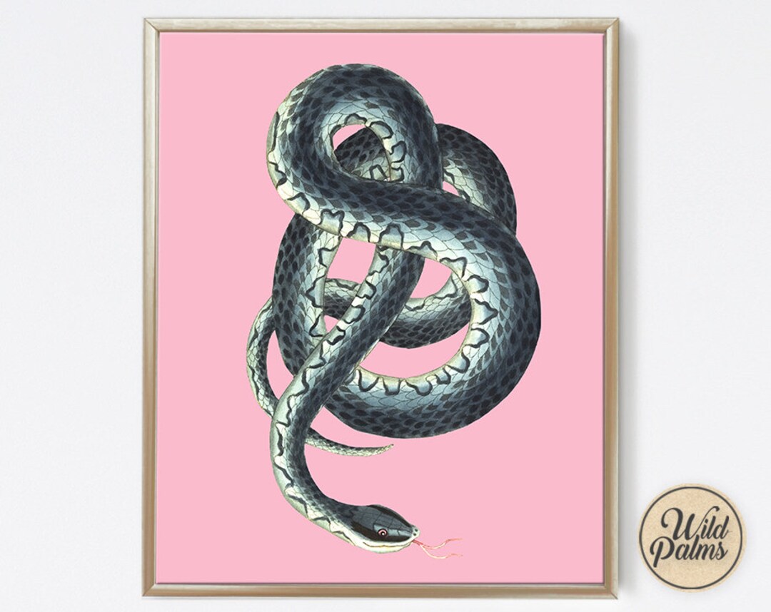 Vintage Snake (pink) - Vintage Style - Art Print - Etsy