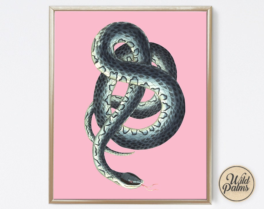 Vintage Snake (pink) - Vintage Style - Art Print - Etsy