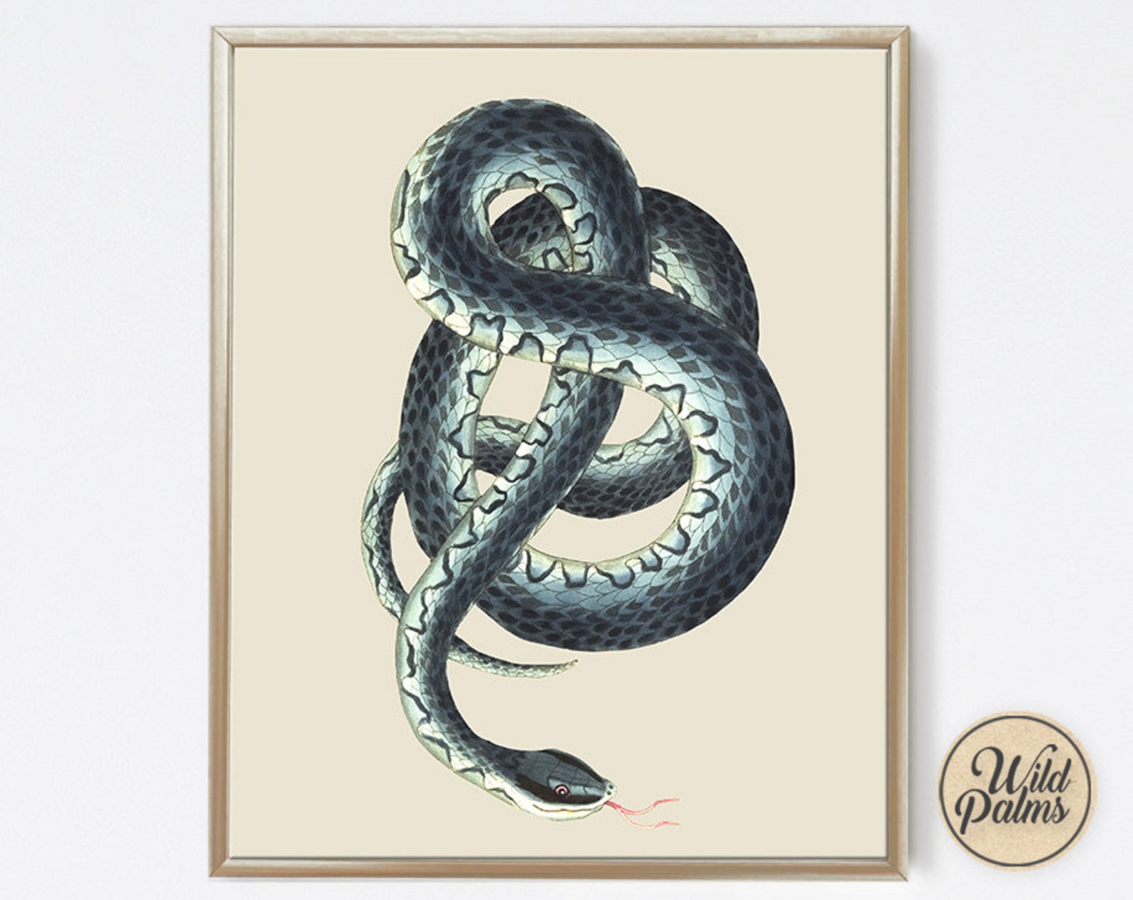 Vintage Snake (ivory) - Vintage Style - Art Print - Etsy