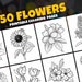 50 Flowers Printable Coloring Pages (PDF) for Kids, Toddlers ...