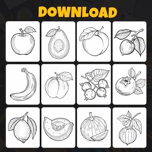 50 Fruits Printable Coloring Pages (PDF) for Kids, Toddlers ...