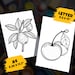 50 Fruits Printable Coloring Pages (PDF) for Kids, Toddlers ...