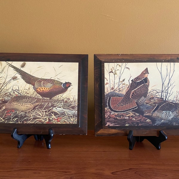 Pheasant Wood - Etsy