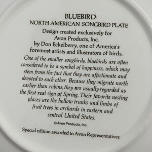 Vtg 70s Bluebird Plate / Vintage Avon Decorative Plate / Nature Decor ...
