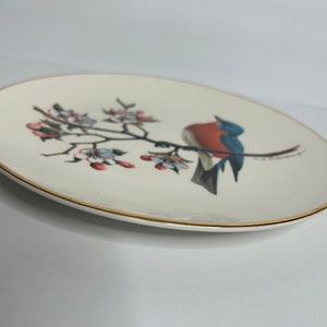 Vtg 70s Bluebird Plate / Vintage Avon Decorative Plate / Nature Decor ...