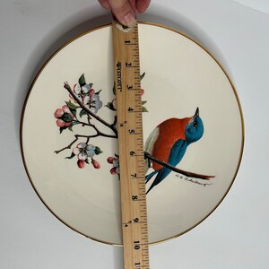 Vtg 70s Bluebird Plate / Vintage Avon Decorative Plate / Nature Decor ...