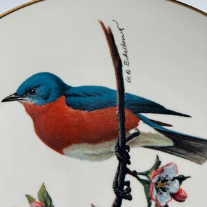 Vtg 70s Bluebird Plate / Vintage Avon Decorative Plate / Nature Decor ...