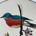 Vtg 70s Bluebird Plate / Vintage Avon Decorative Plate / Nature Decor ...