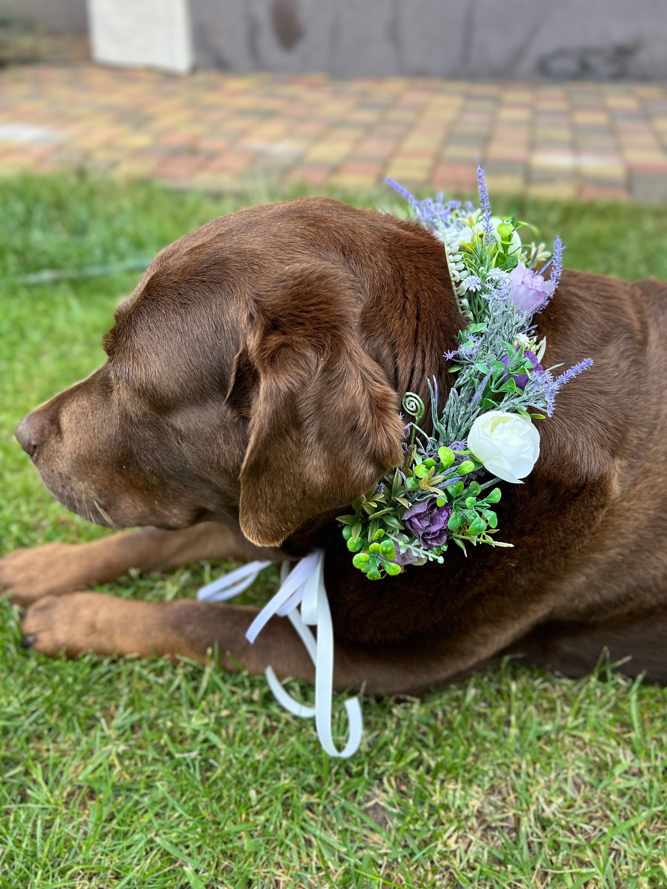 Lavender Pet Flower Collar, Flower Crown for Dog, Purple Pet Wreath ...