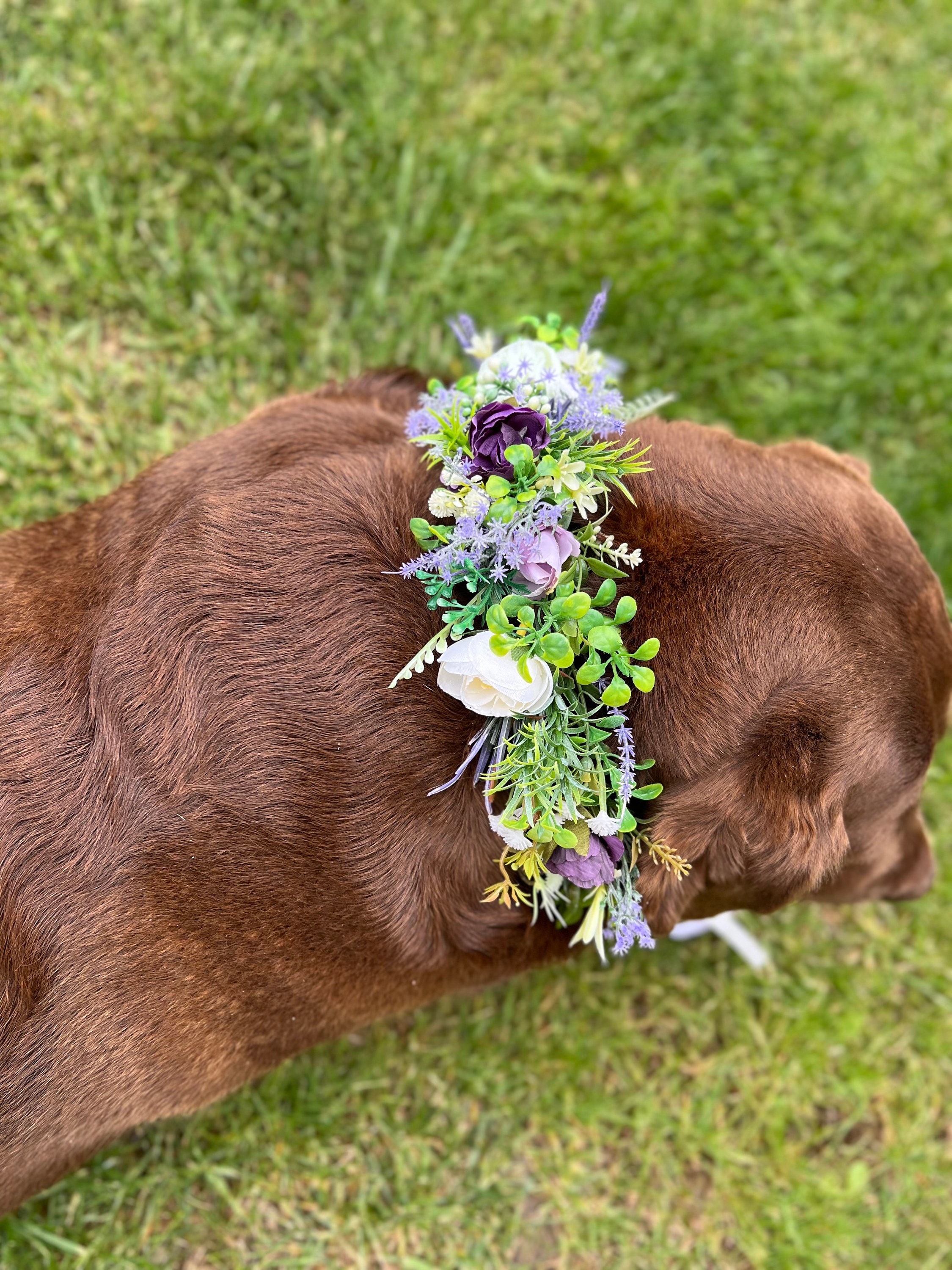 Lavender Pet Flower Collar, Flower Crown for Dog, Purple Pet Wreath ...