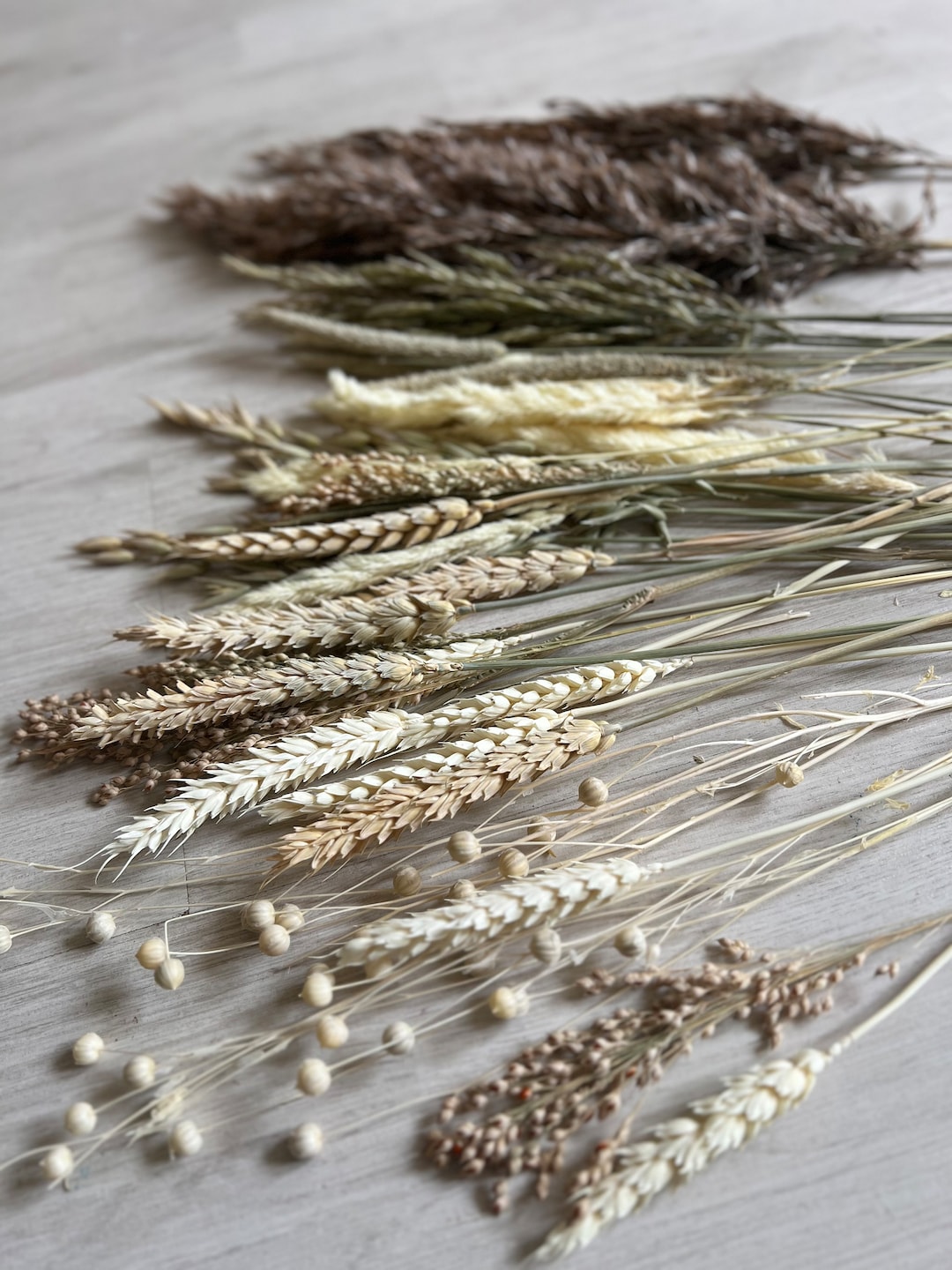 Mix of 30 Dried Natural Wheat Stems Pampass Grass and Oat Dried Grass ...