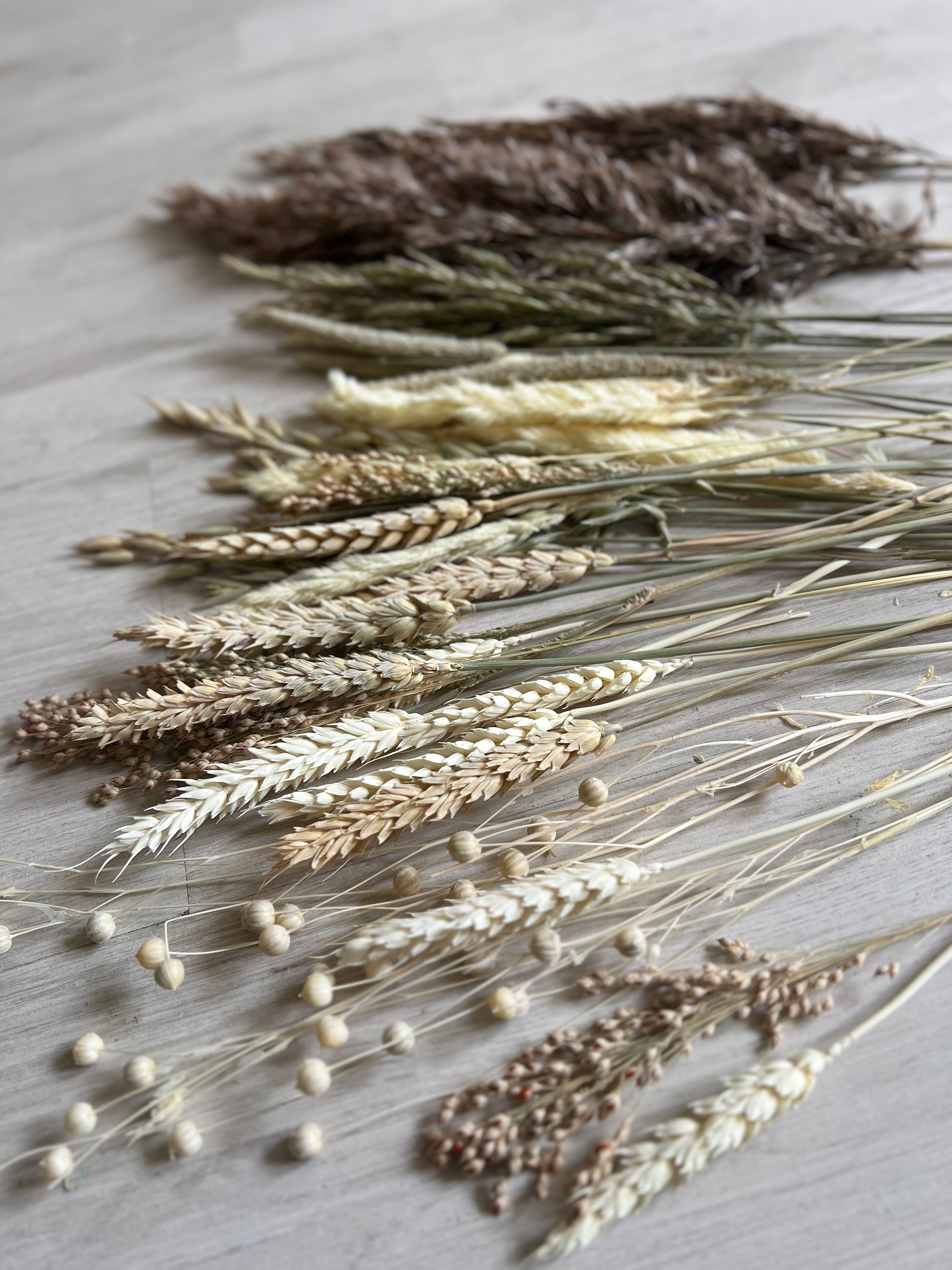 Mix of 30 Dried Natural Wheat Stems Pampass Grass and Oat Dried Grass ...
