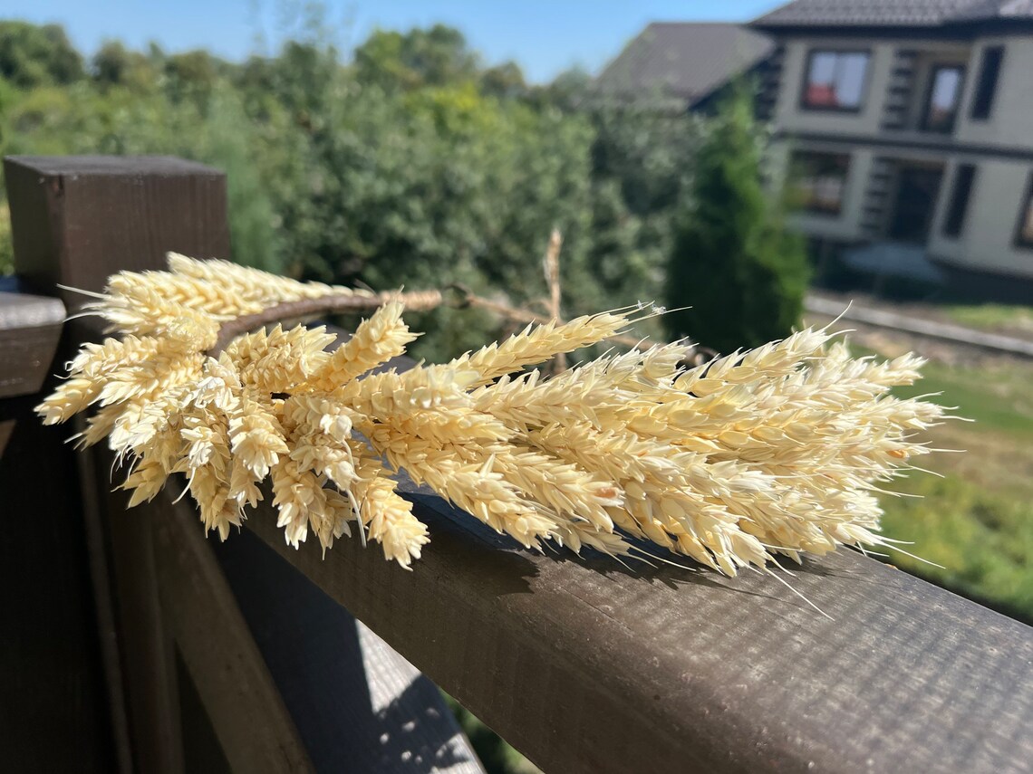 Dried Wheat Boutonniere, Rustic Country Wedding, Autumn Wedding,rustic ...