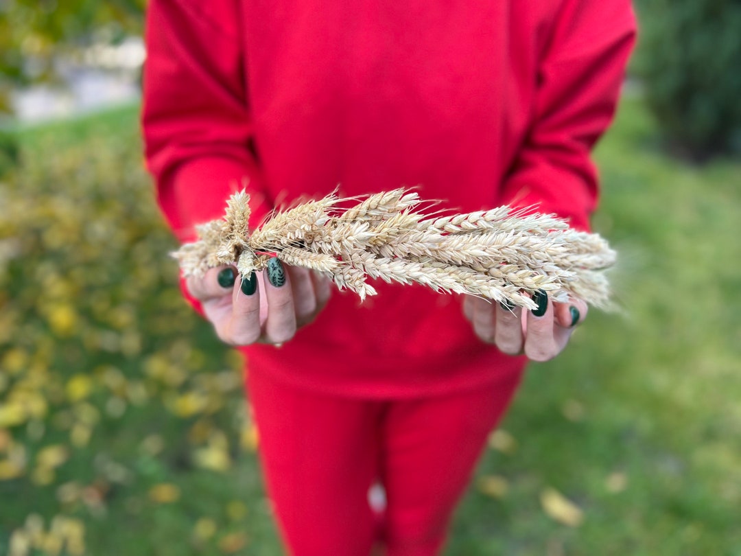 Wheat Head Crown, Rustic Wheat Flower Crown, Dried Wheat Halo, Boho ...