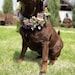 Customizable Pet Flower Collar | Faux Floral Dog & Cat Wedding ...