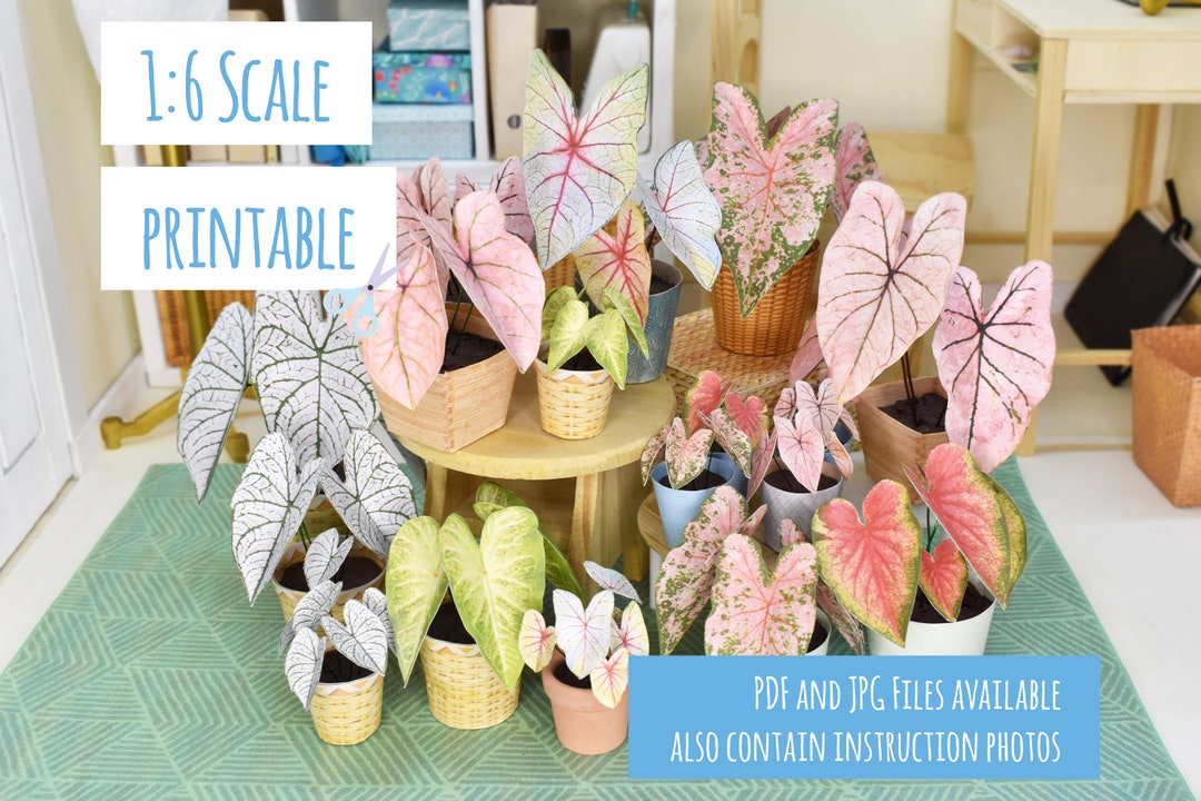 Dolls 7 Different Miniature Plants 1/6 Decoration in 3 Sizes - Etsy