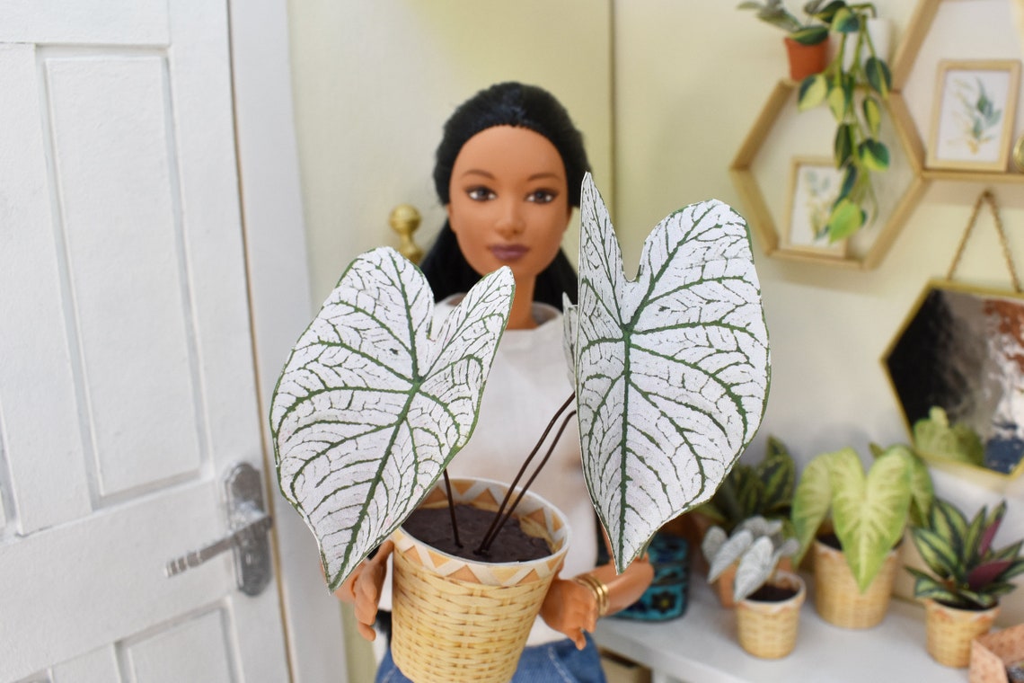 Dolls 7 Different Miniature Plants 1/6 Decoration in 3 Sizes for Dolls ...