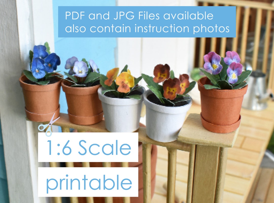 Doll 7 Different Miniature Pansies 1/6 Plants for the Garden for ...