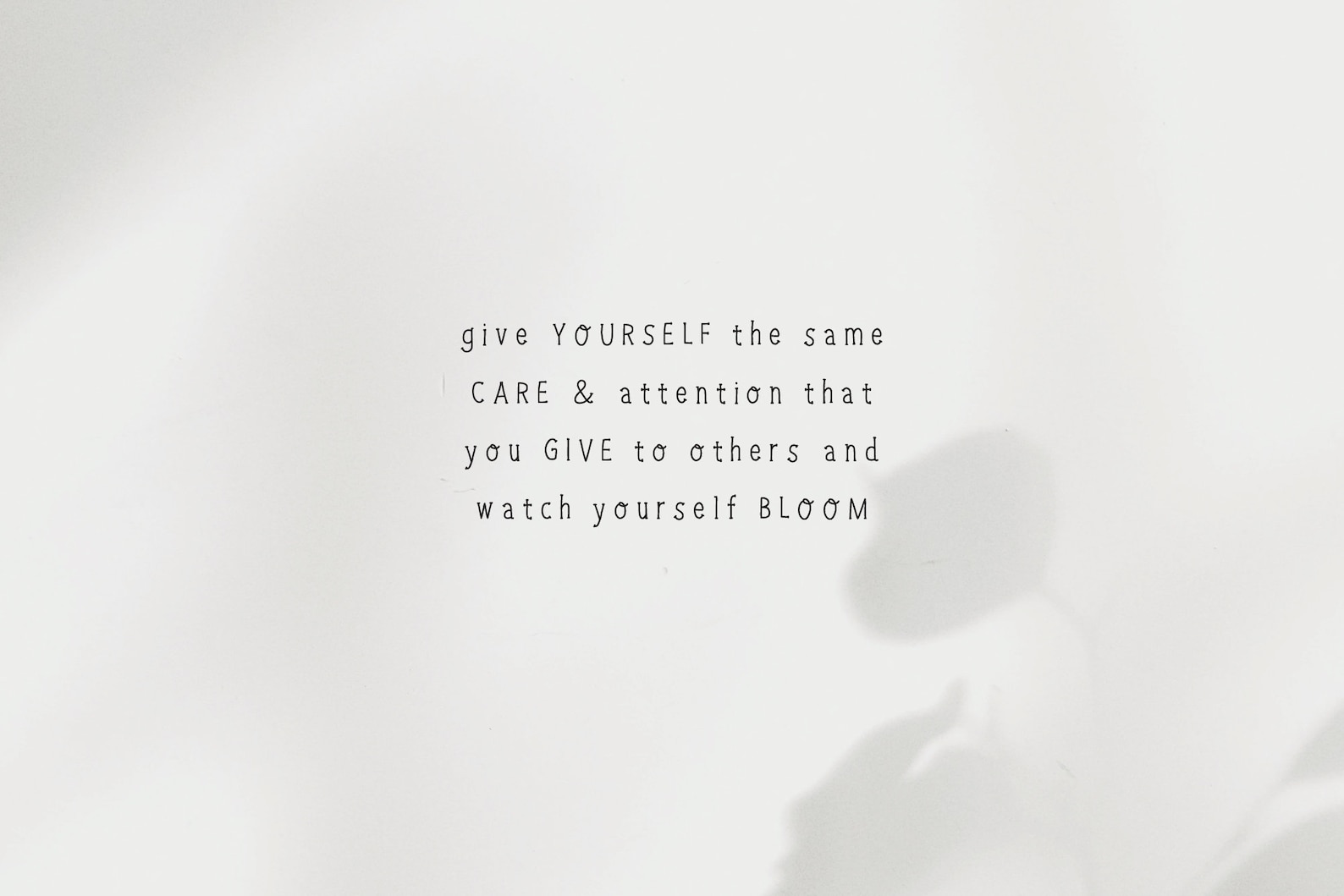 Hand Drawn Serif Font, Maureen Francisca Font, Serif Condensed Style ...