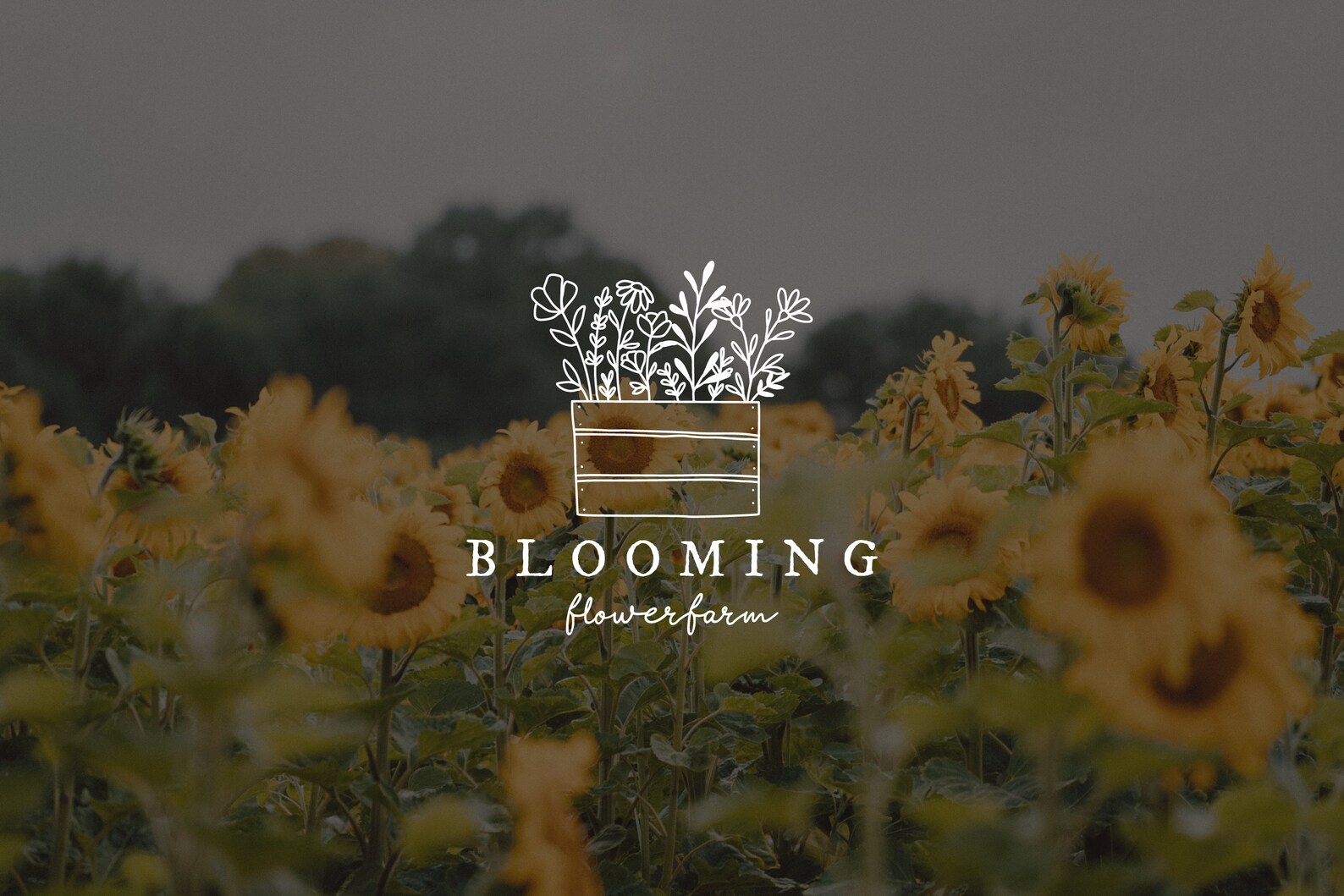Flower Farm Logo Design Floral Premade Logo Flower Logo | Etsy