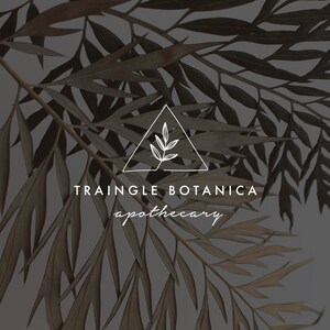 Premade Rustic Leaf Logo Design, Nature Botanical Logo Design for ...